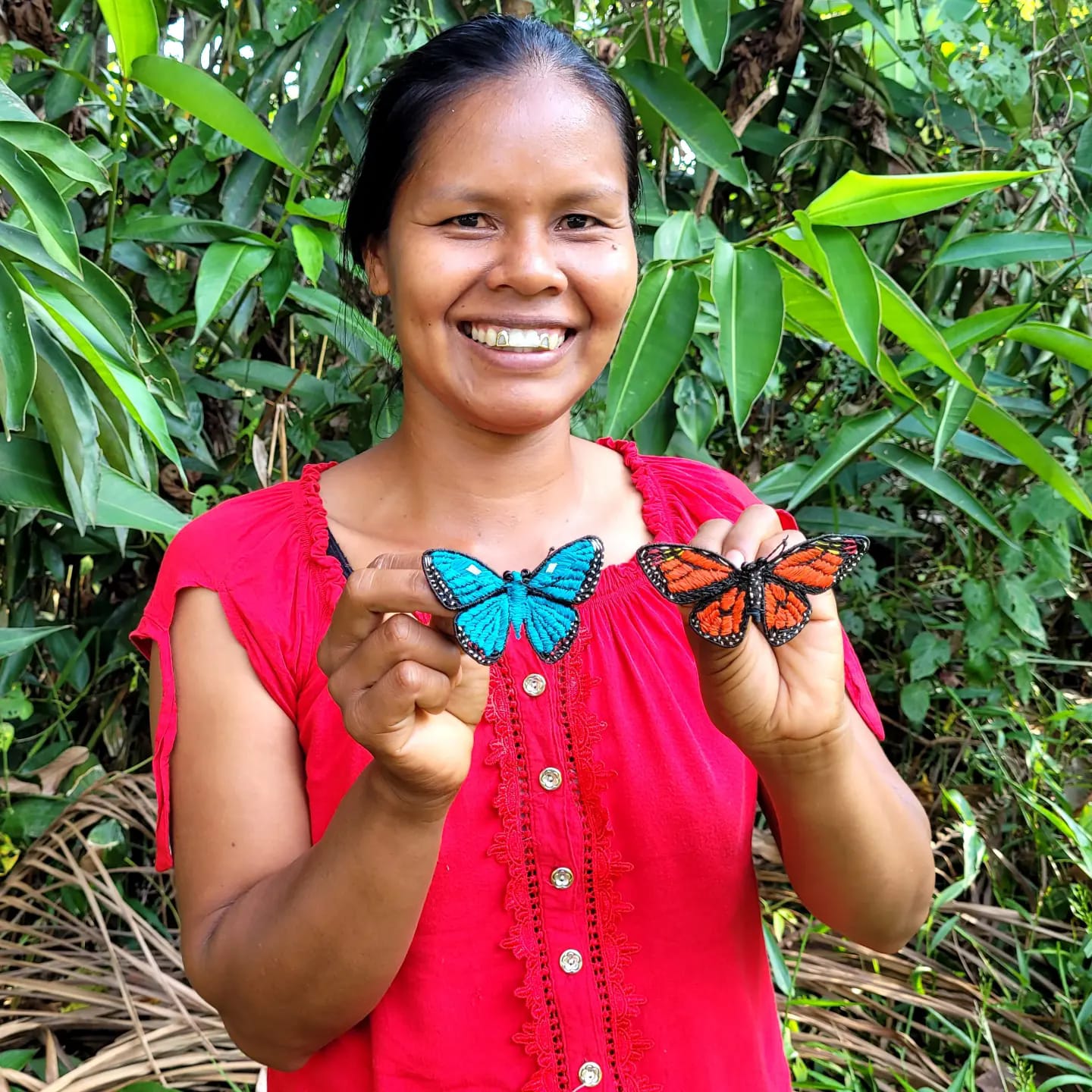 THE EVOLUTION OF THE CHAMBIRA BUTTERFLY - Amazon Ecology