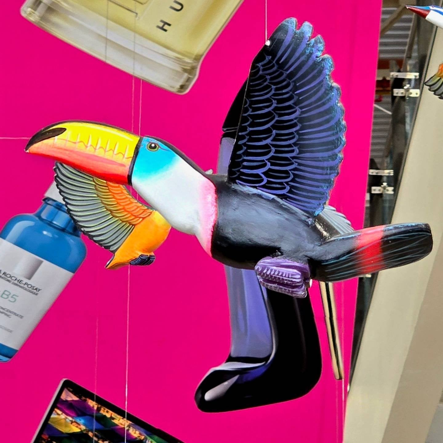 Birds in the Iquitos Mall and the marsh - Amazon Ecology